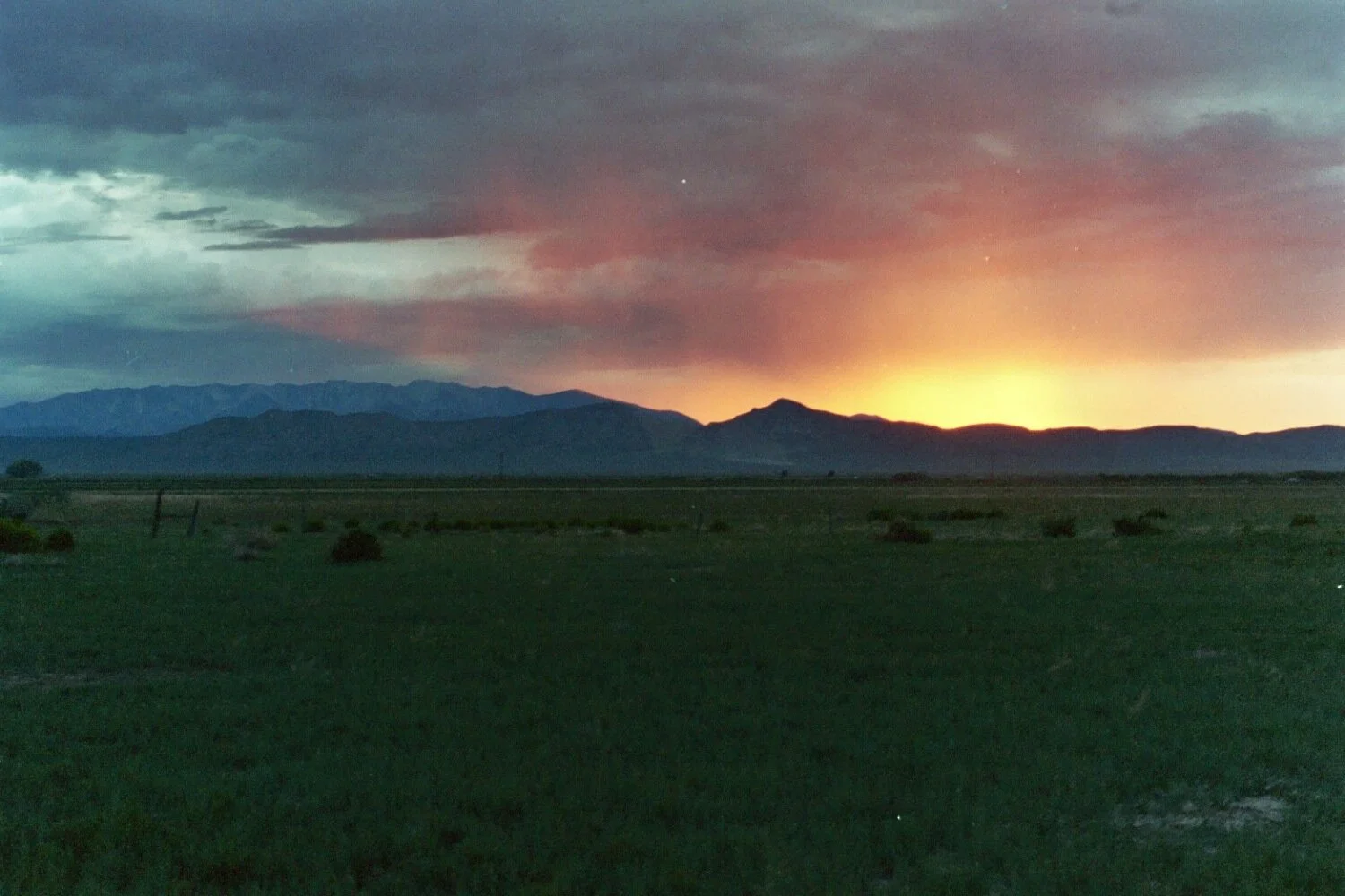 Trevor Triano Photography