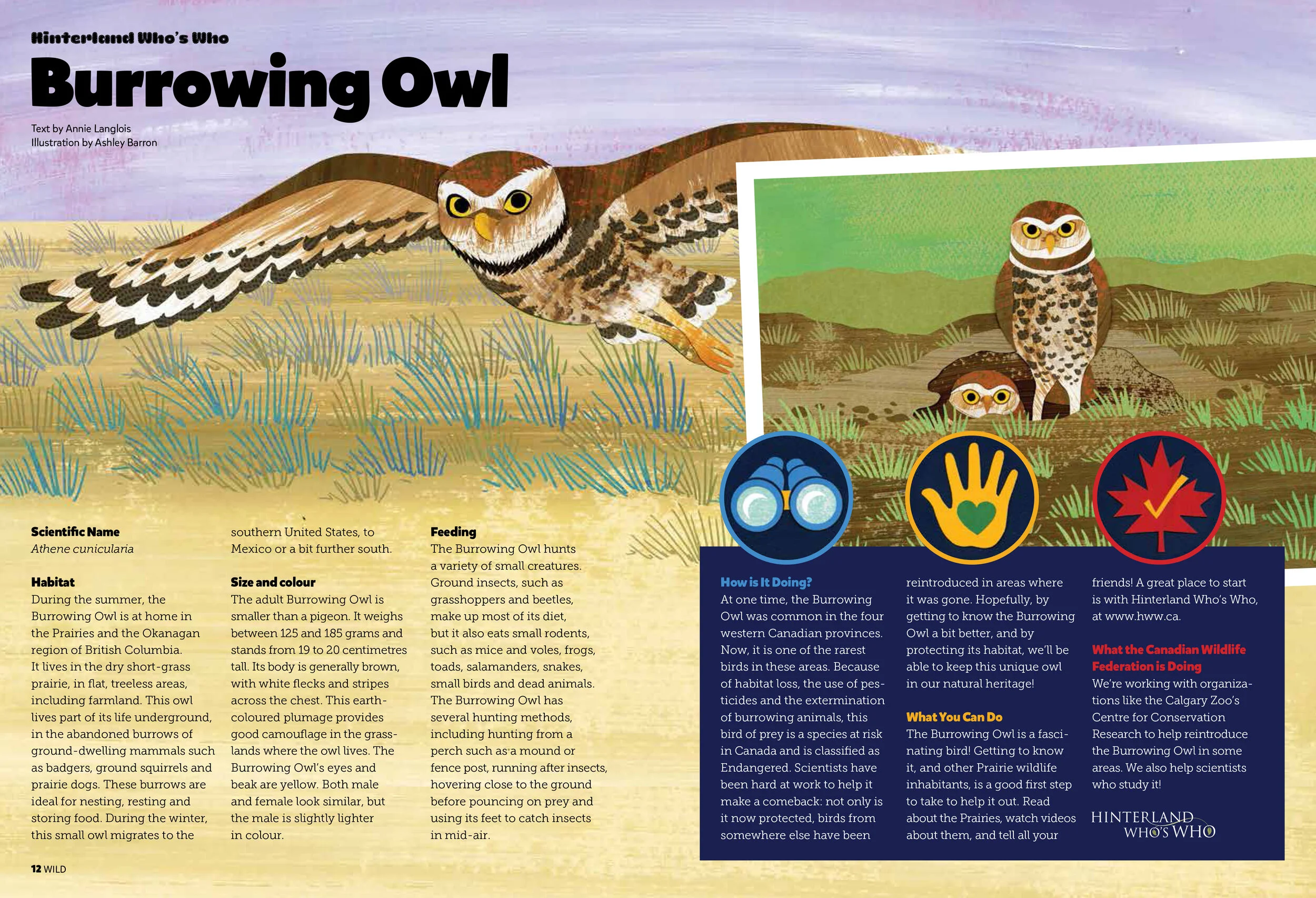 Ashley Barron Illustration