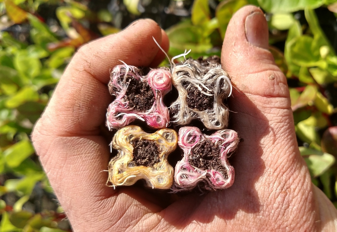 Square Roots FarmSquare Roots Farm