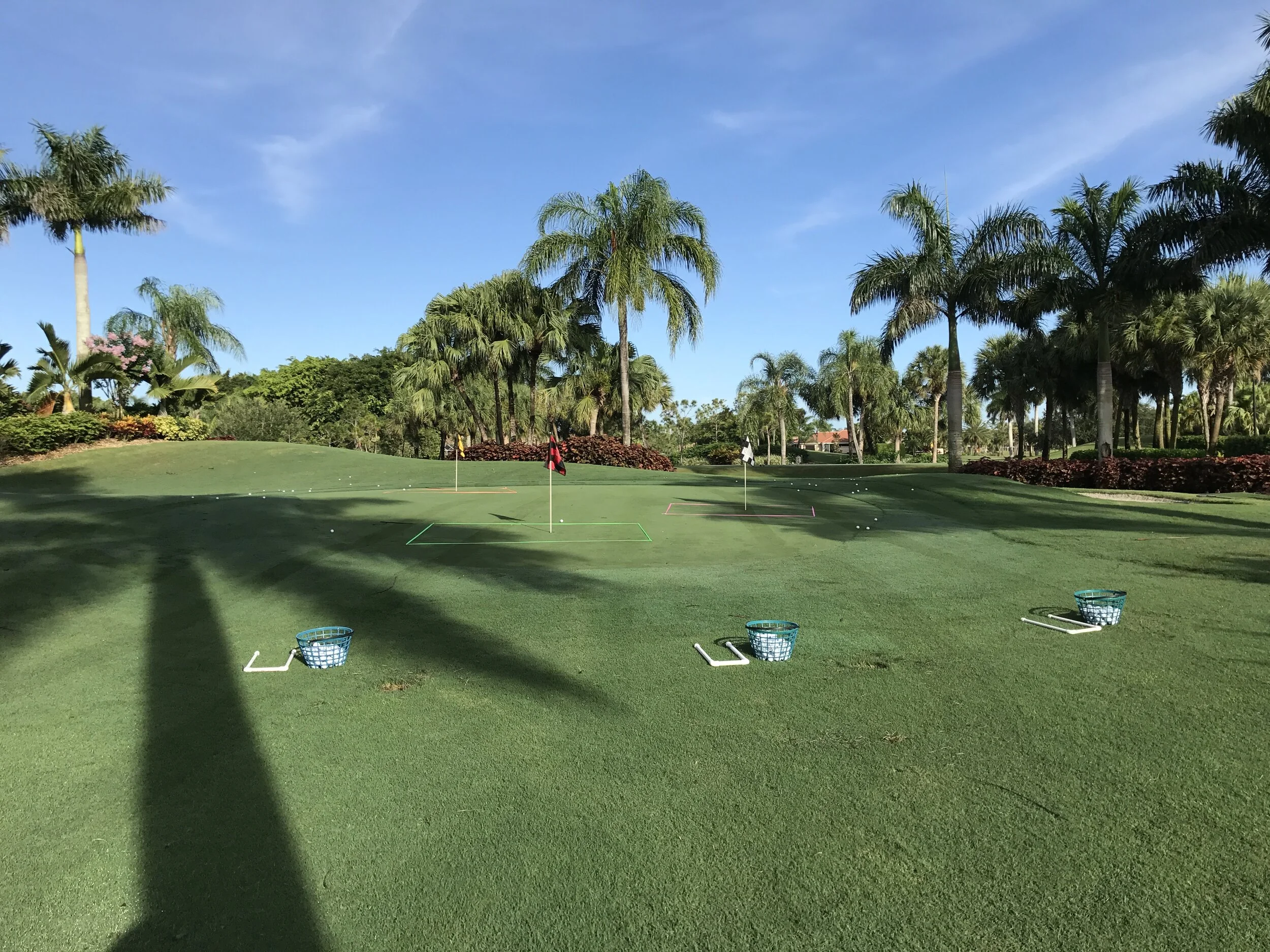 Best Golf Lessons Clearwater Tampa & St. Petersburg