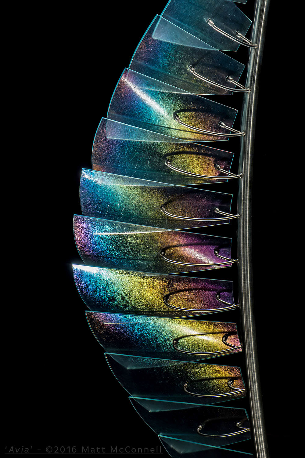 'Avia' — McConnell Studios