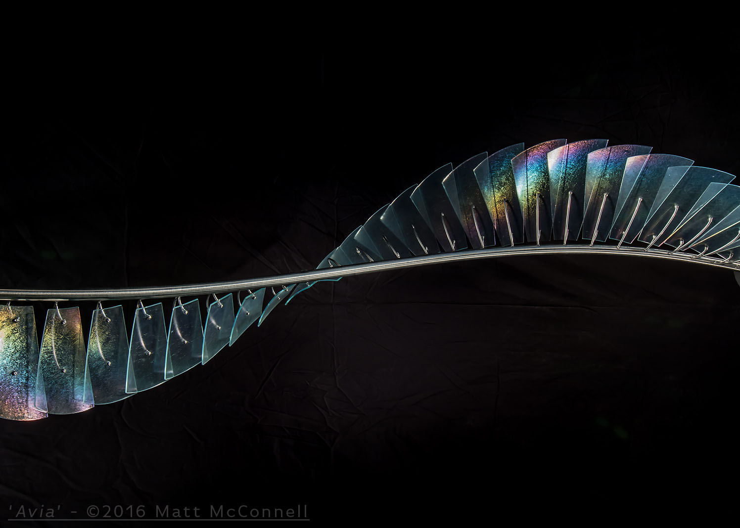 'Avia' — McConnell Studios