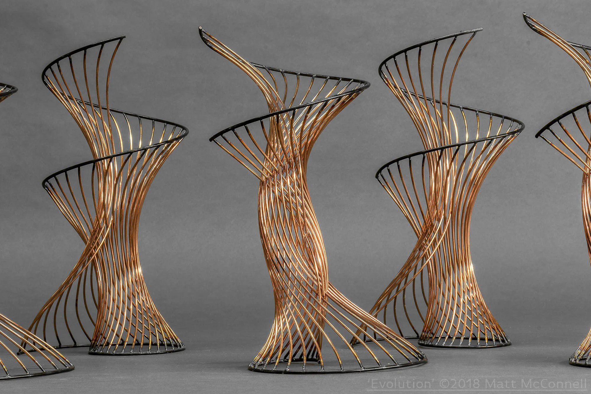 'Evolution - Origins' — McConnell Studios