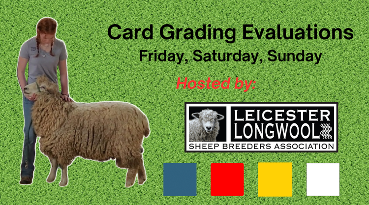 Card Grading 2024 — Leicester Longwool Sheep Breeders Association