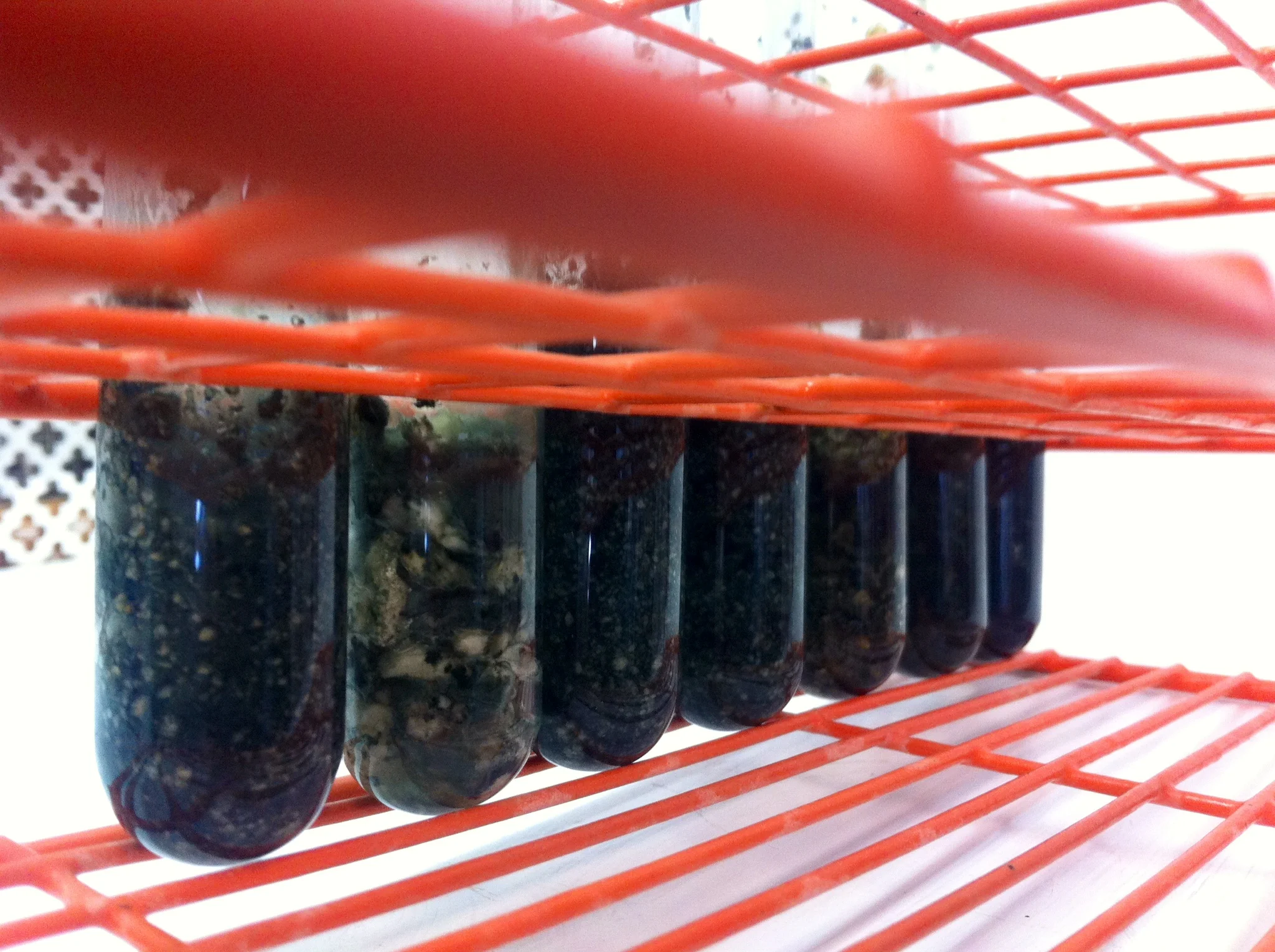 Laboratory Resources · Bio-Process Group