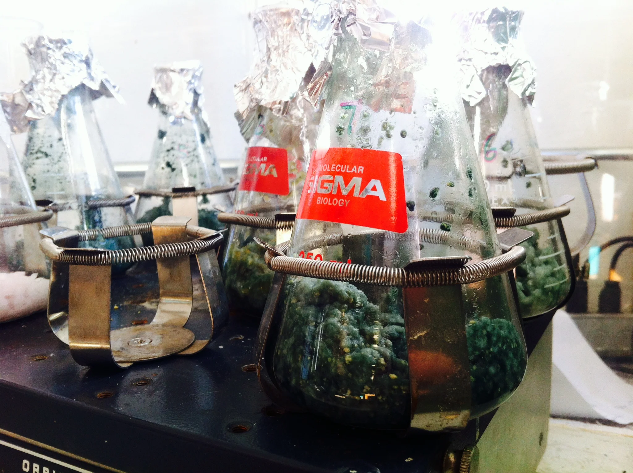 Laboratory Resources · Bio-Process Group