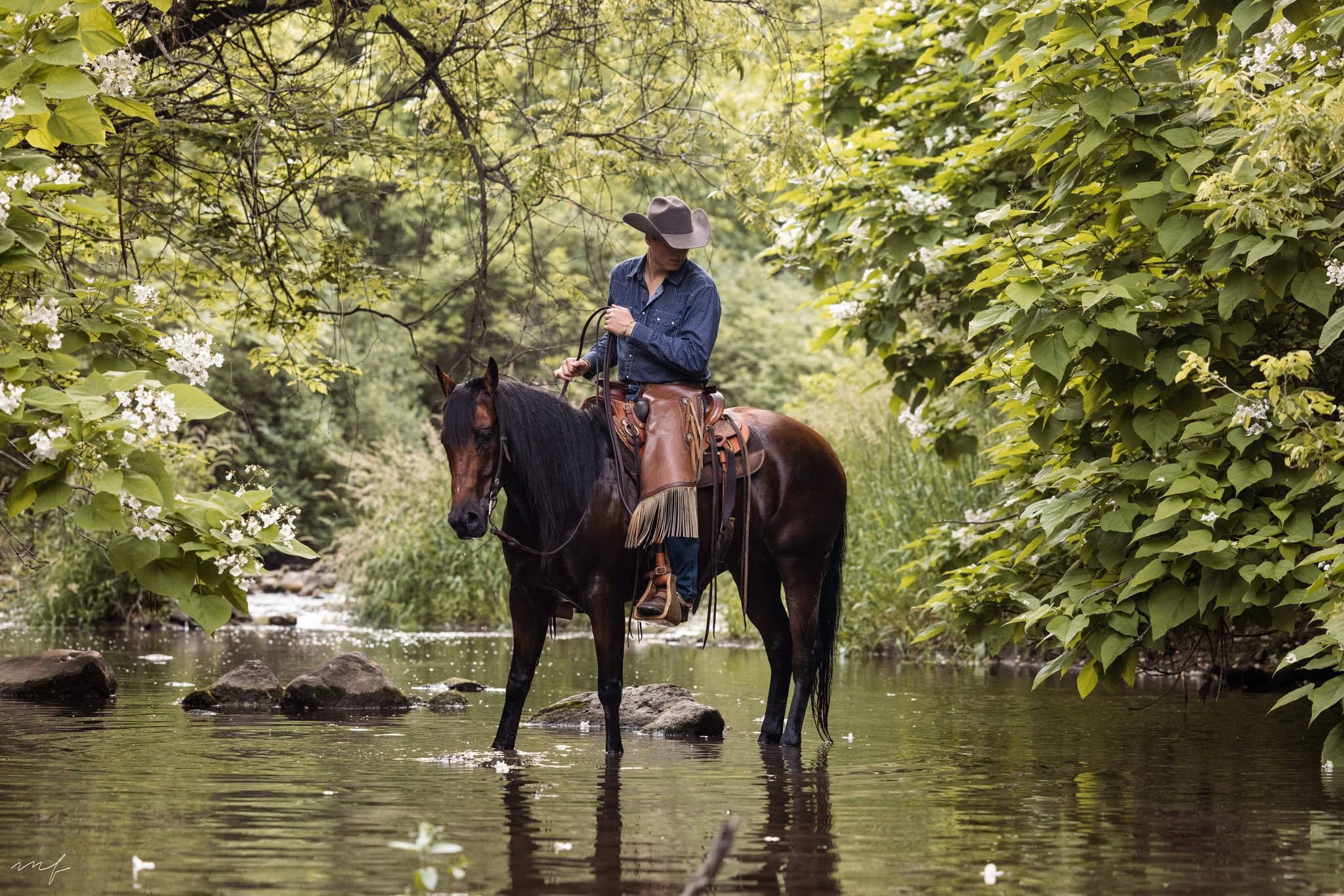 Collin, Covergirl, and Anisette — Mariah Farmer Photography