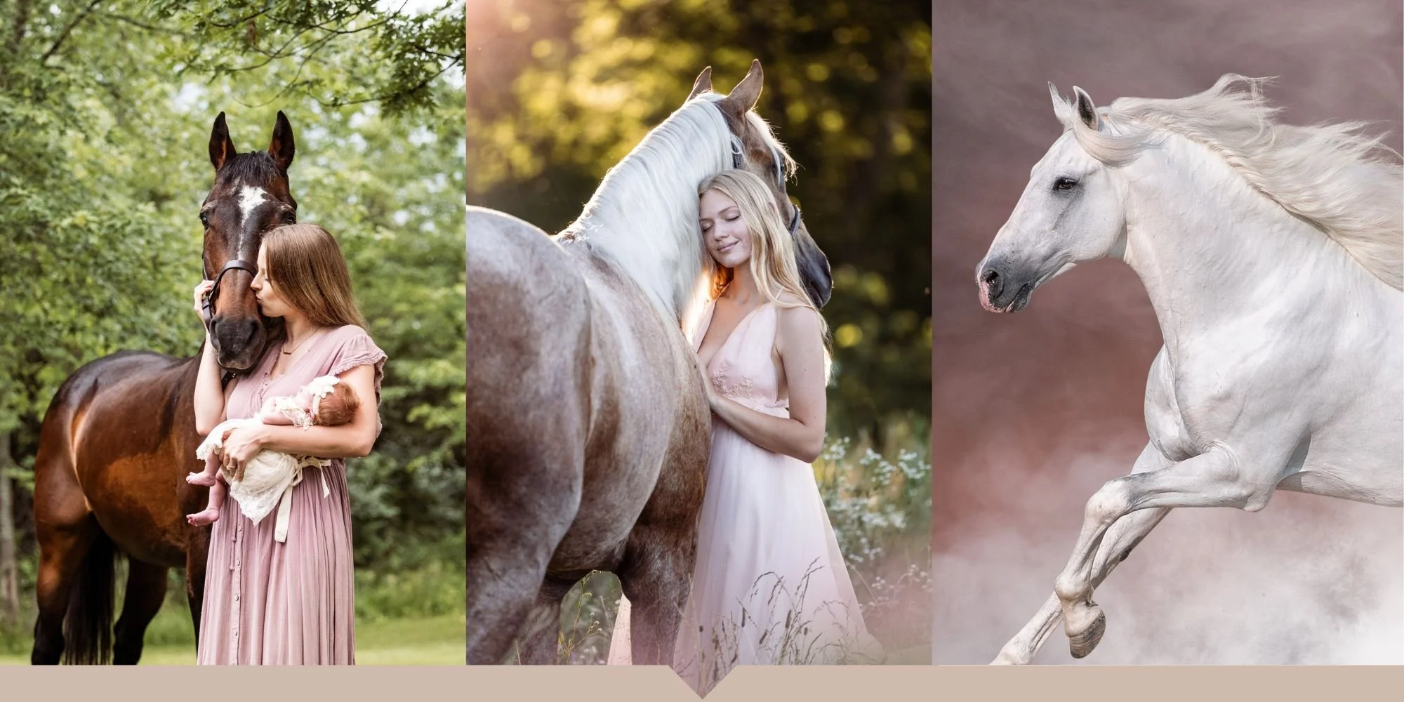 Equestrian Photographer— Mariah Farmer Photography