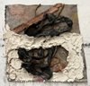 Frank Magnotta Portfolio