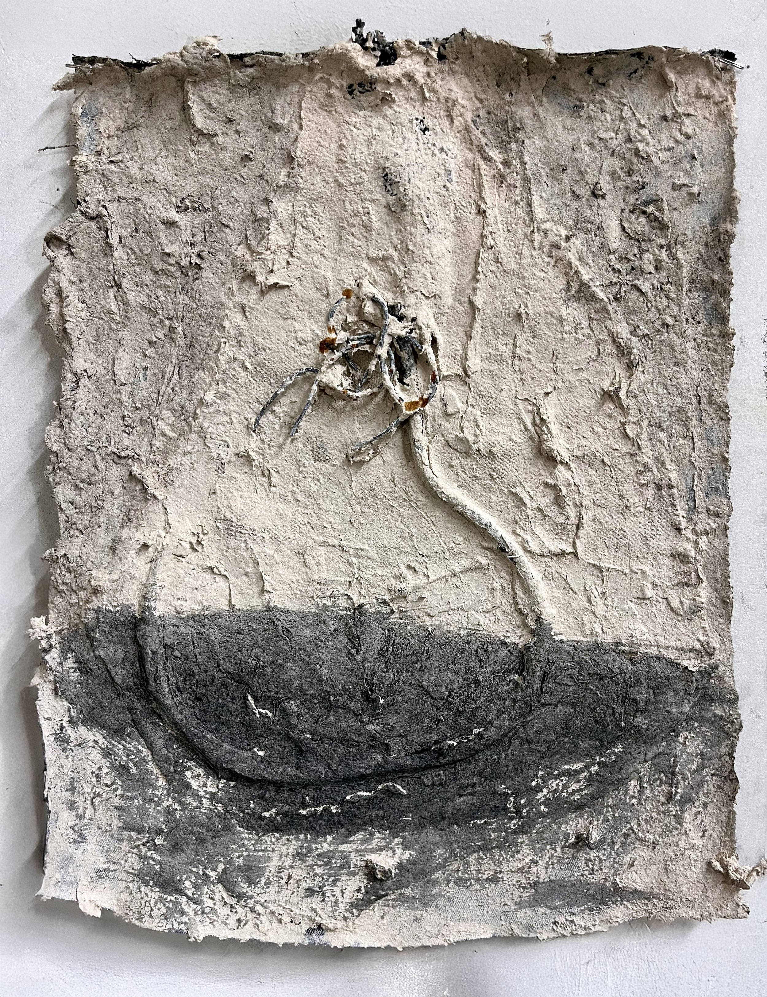 Frank Magnotta Portfolio