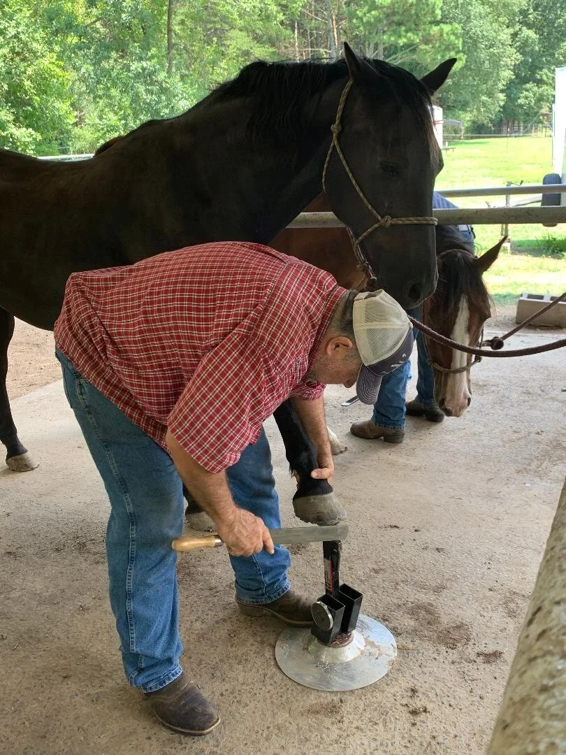 Trim Class — Casey & Son Horseshoeing School