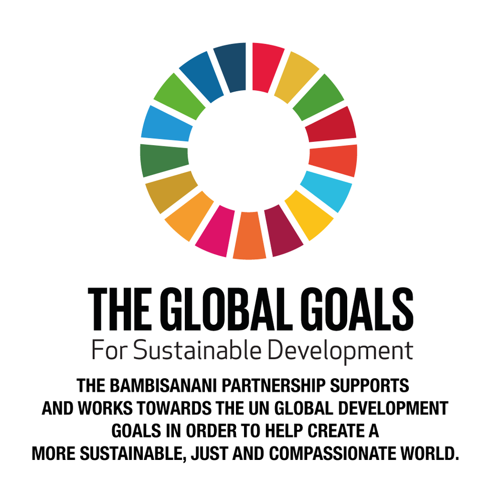 Bambisanani Partnership recognised for contribution to UN Sustainable ...