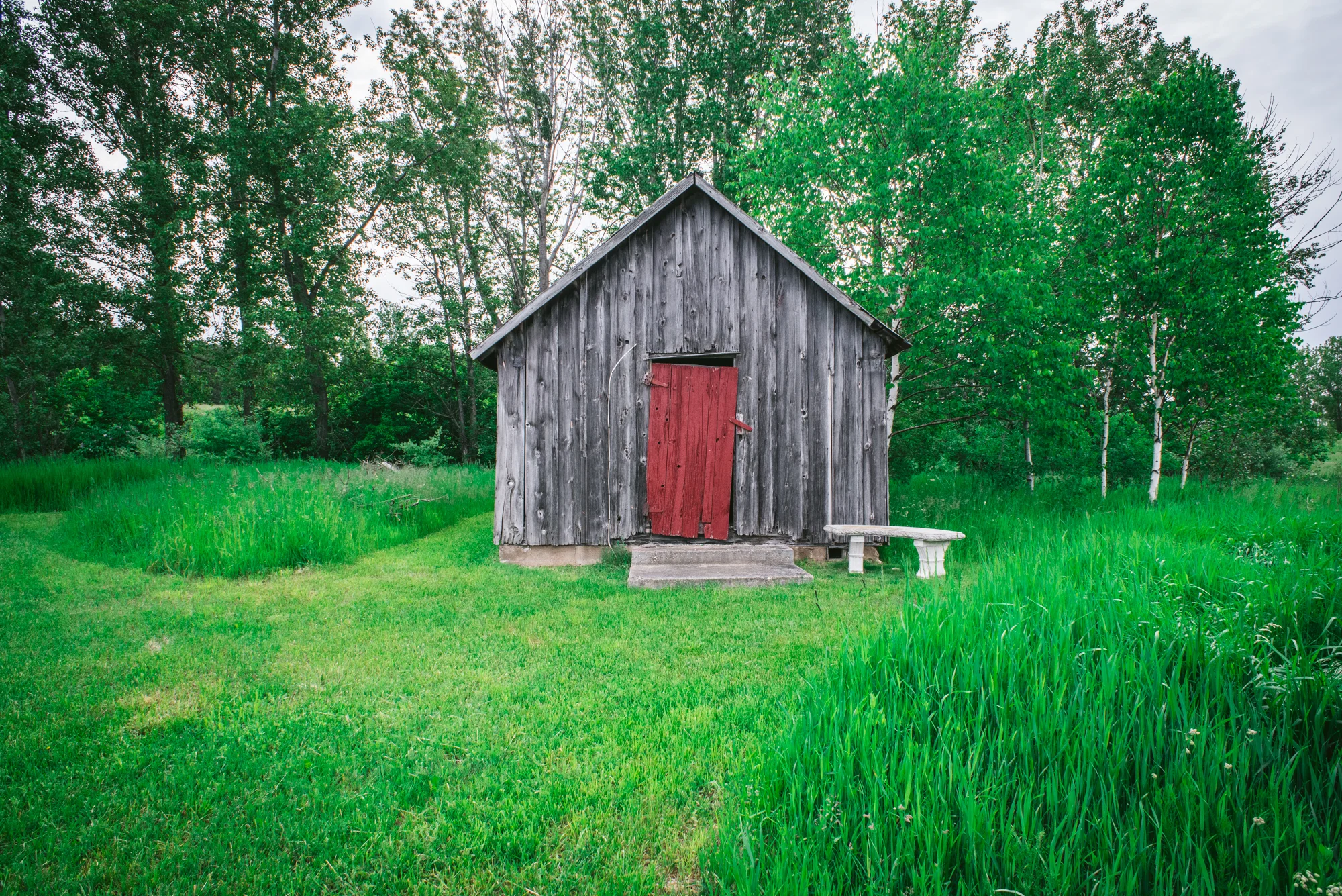 Blog — Beryl Striewski Photography