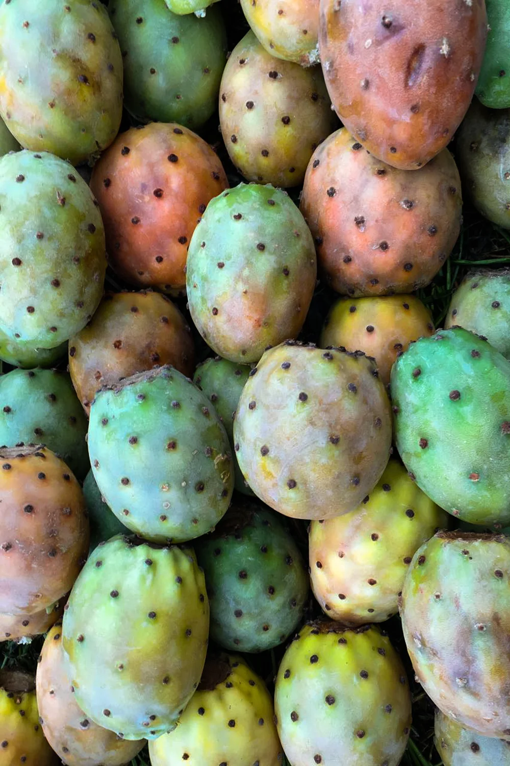 How we cook and what we ate this summer – Morocco edition + 3 non ...