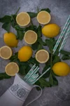 Orange Blossom and Mint Lemonade — My Moroccan Food