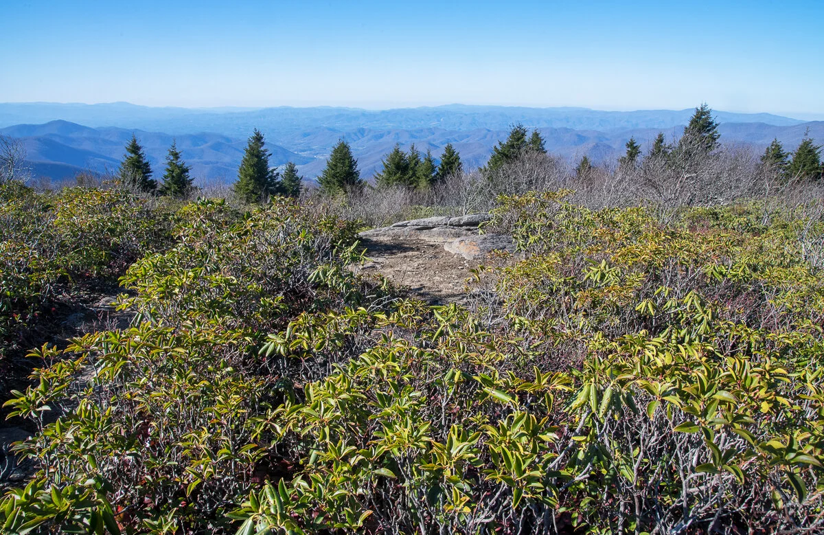 Blog — Lynne Buchanan Photography