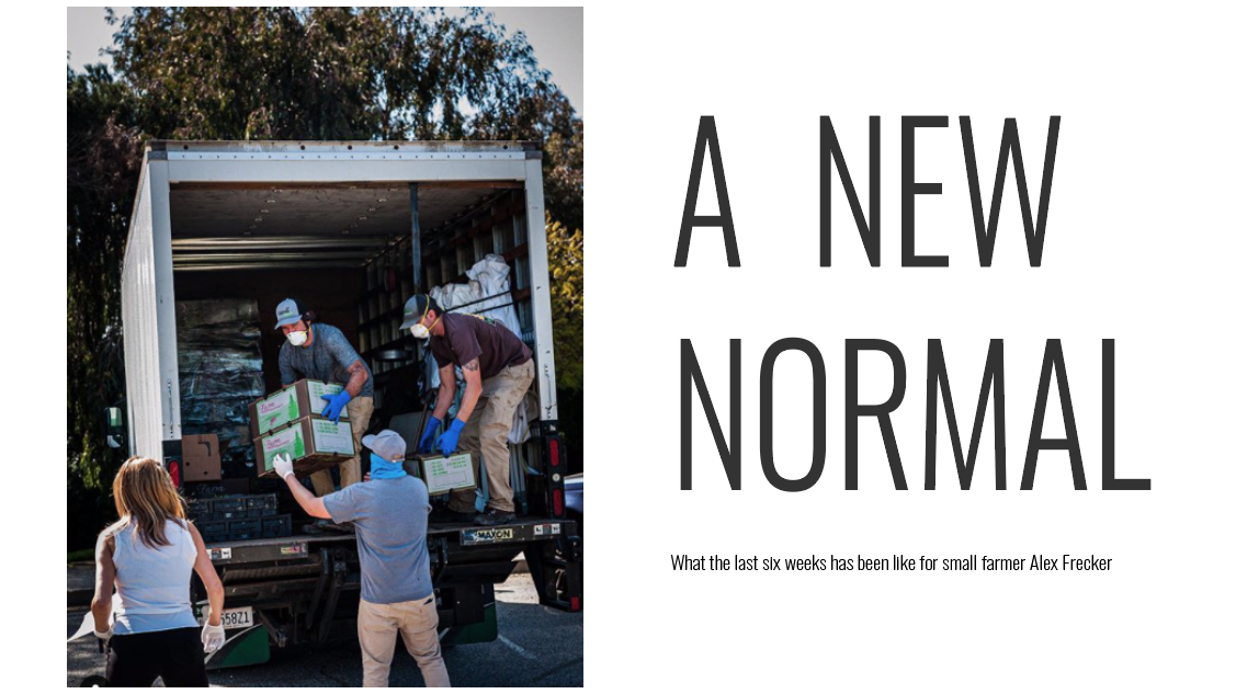 Covid 19 on Frecker Farms — Food Hub + Produce Stand