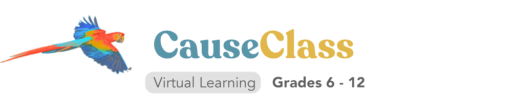 REACH Program | BLUE Missions