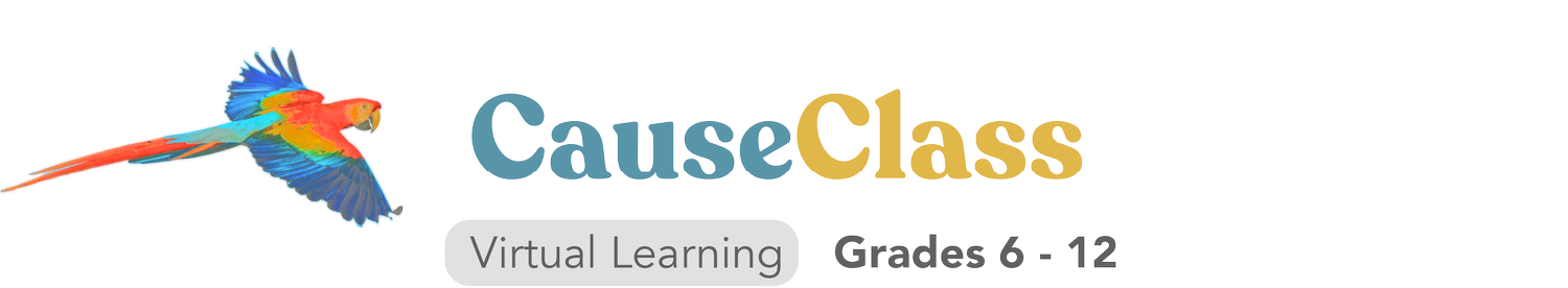 REACH Program | BLUE Missions