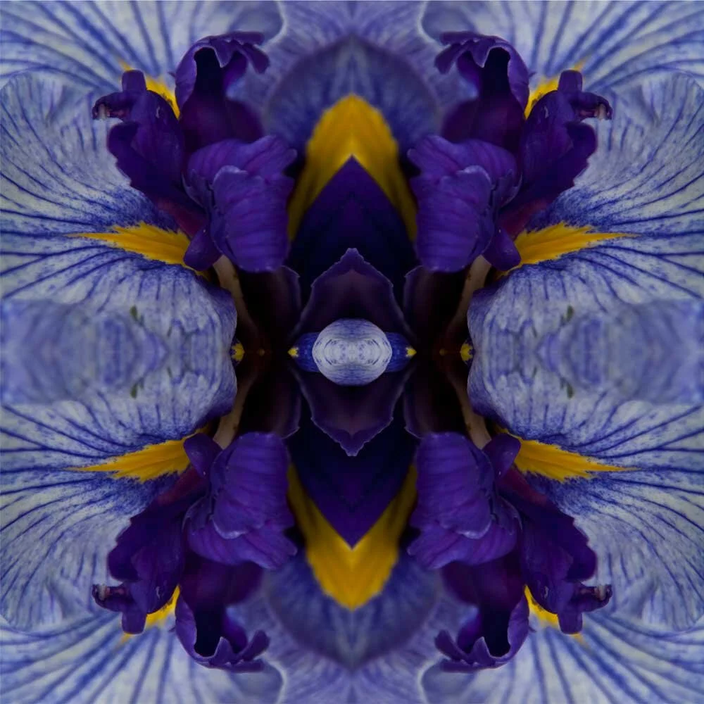 Prismatica — Rebecca Swanson