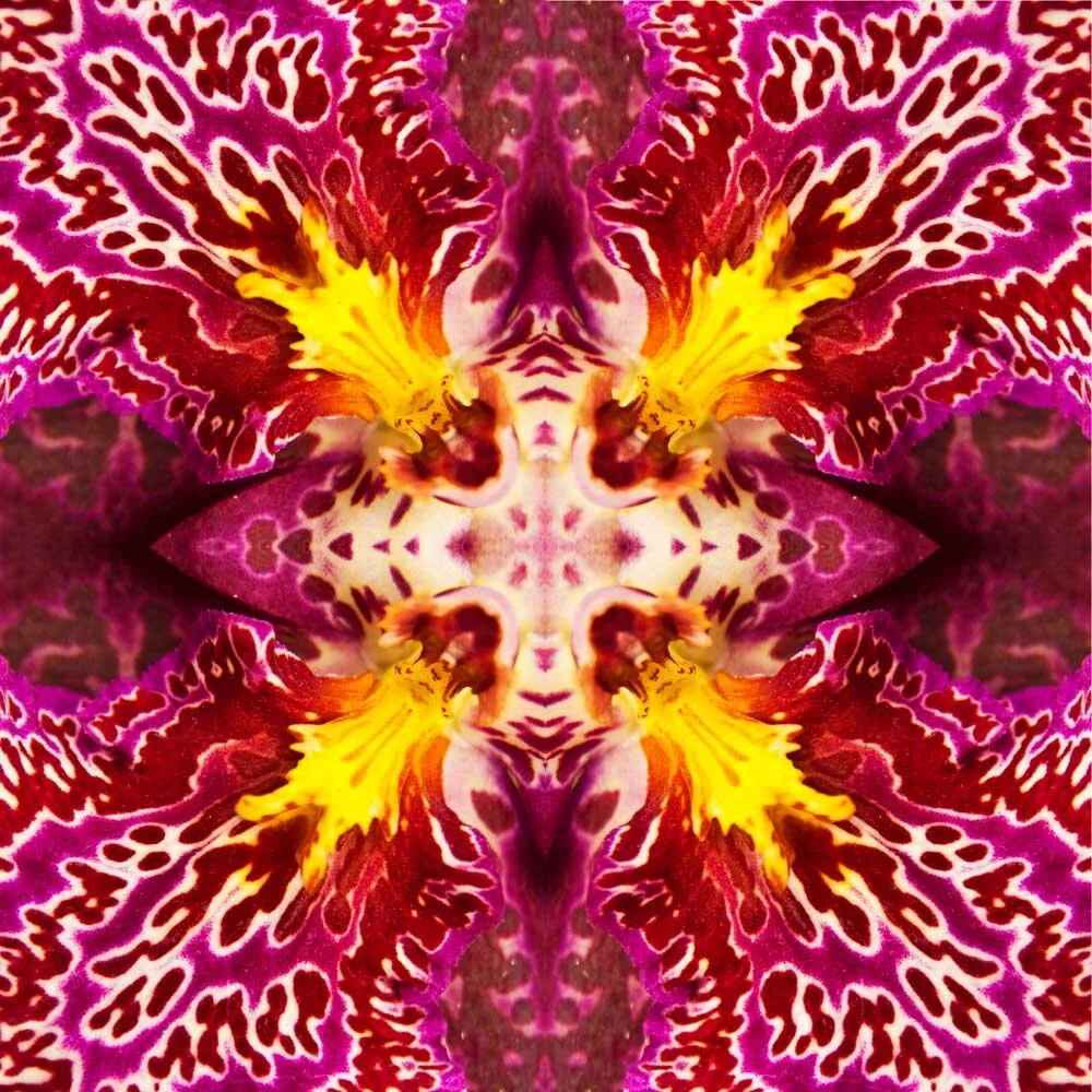 Prismatica — Rebecca Swanson