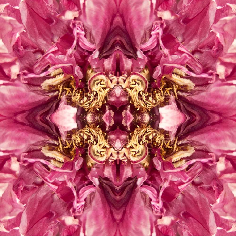 Prismatica — Rebecca Swanson