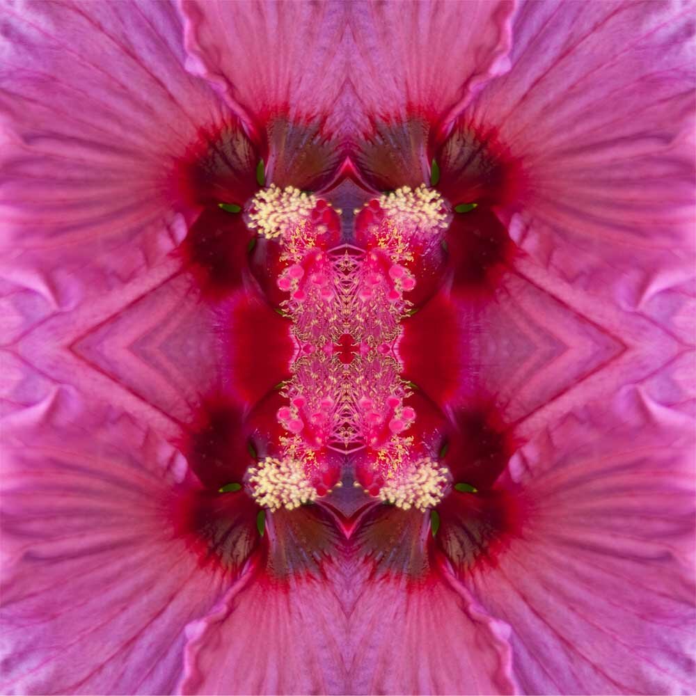 Prismatica — Rebecca Swanson