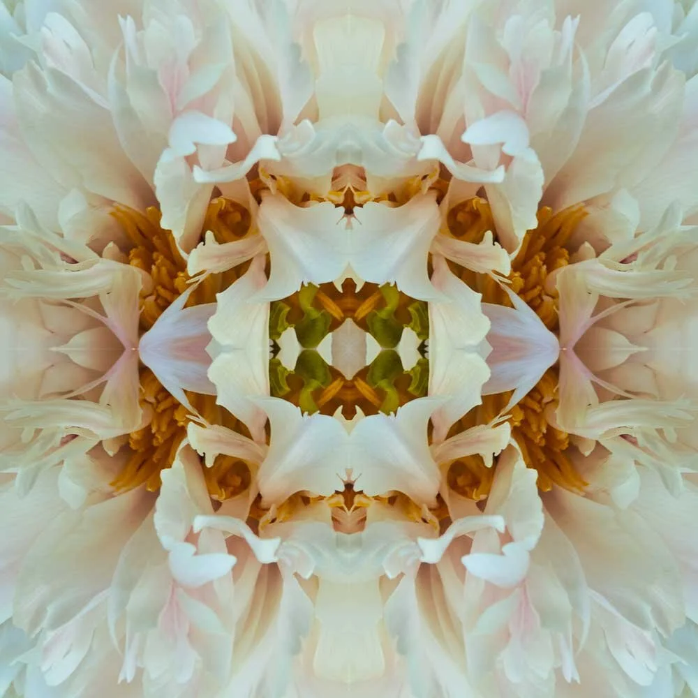 Prismatica — Rebecca Swanson