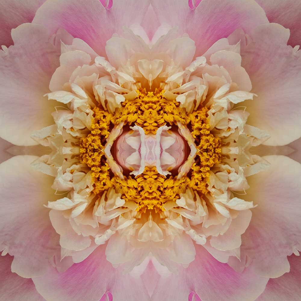 Prismatica — Rebecca Swanson