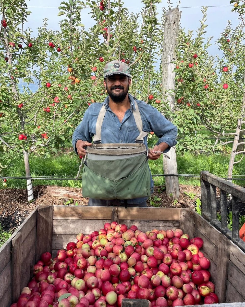 Welcome to the Finger Lakes Cider House