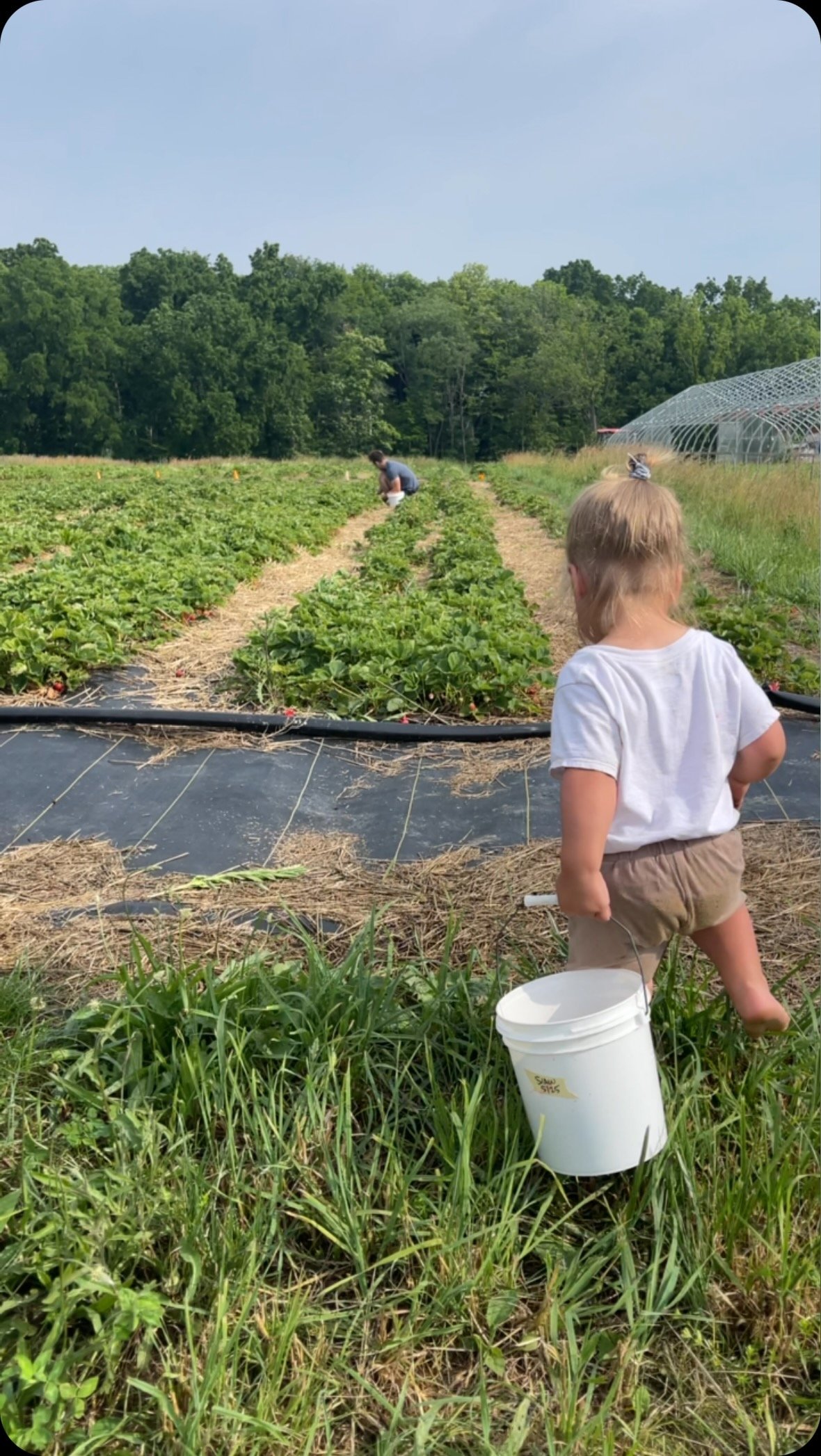 Welcome to the Finger Lakes Cider House