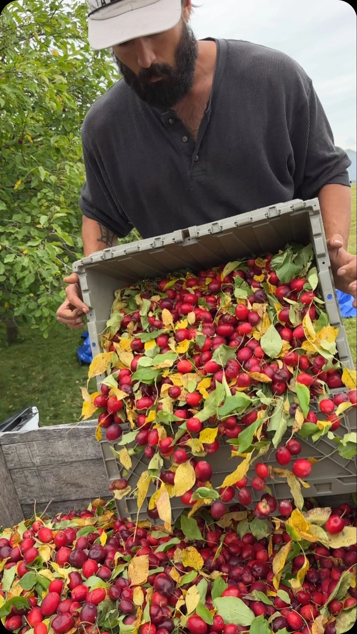 Welcome to the Finger Lakes Cider House