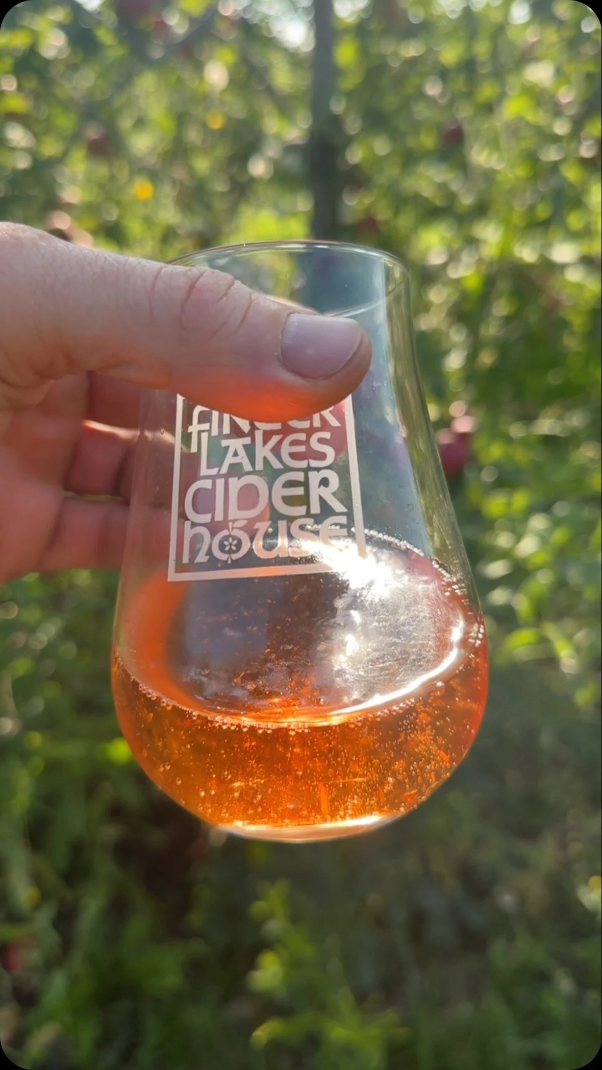 Welcome to the Finger Lakes Cider House