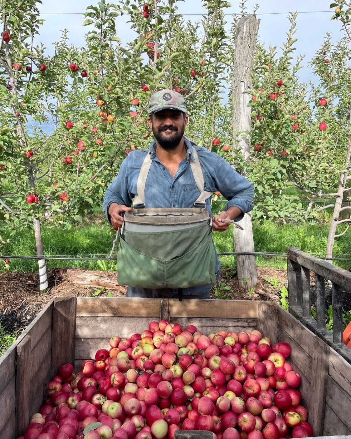 Welcome to the Finger Lakes Cider House