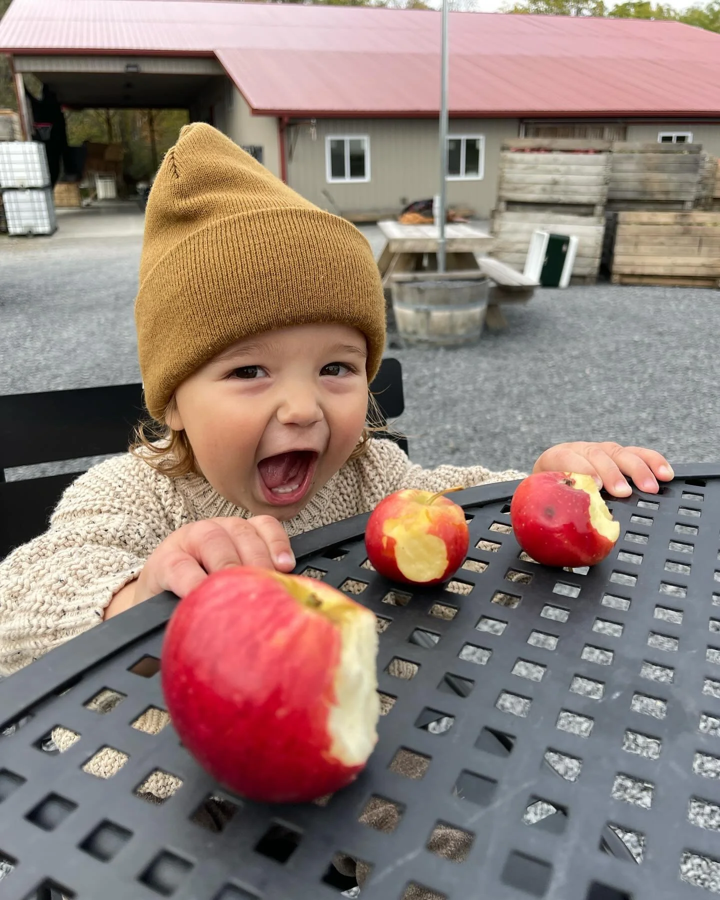 Welcome to the Finger Lakes Cider House