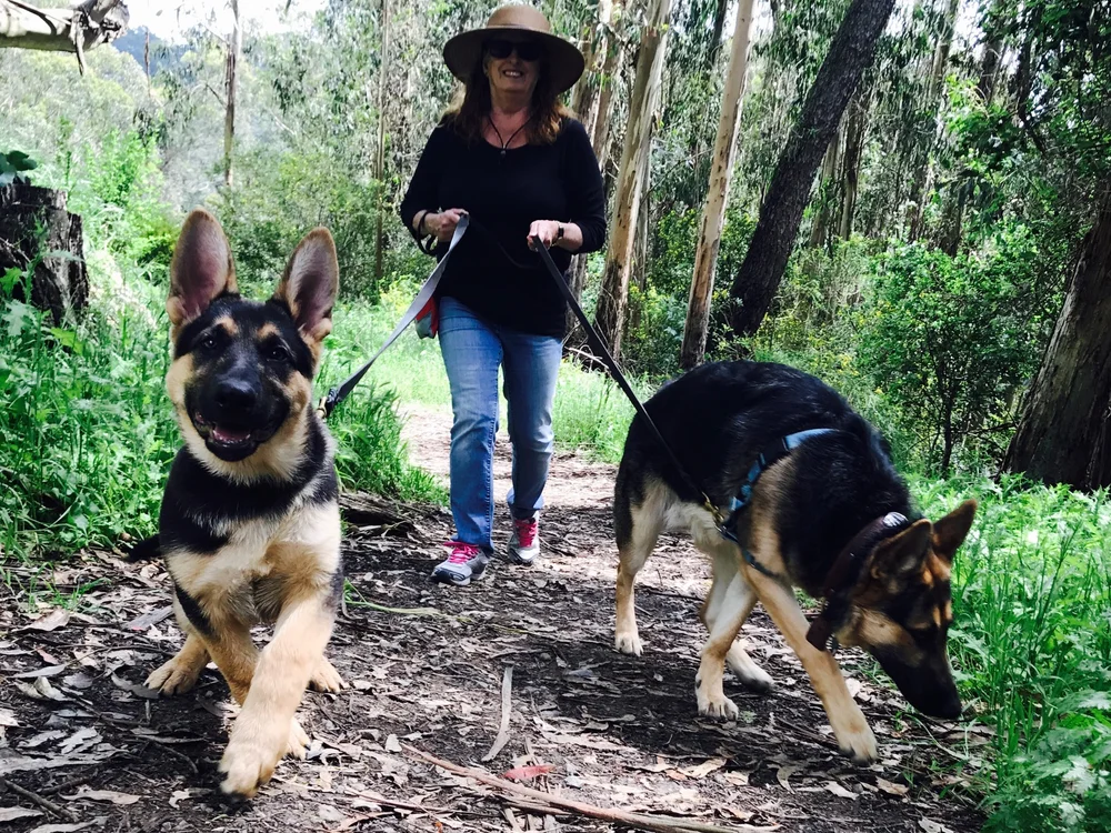 Our Team | East Bay Dog Walking and Pet Sitting | Oakland, Berkeley ...