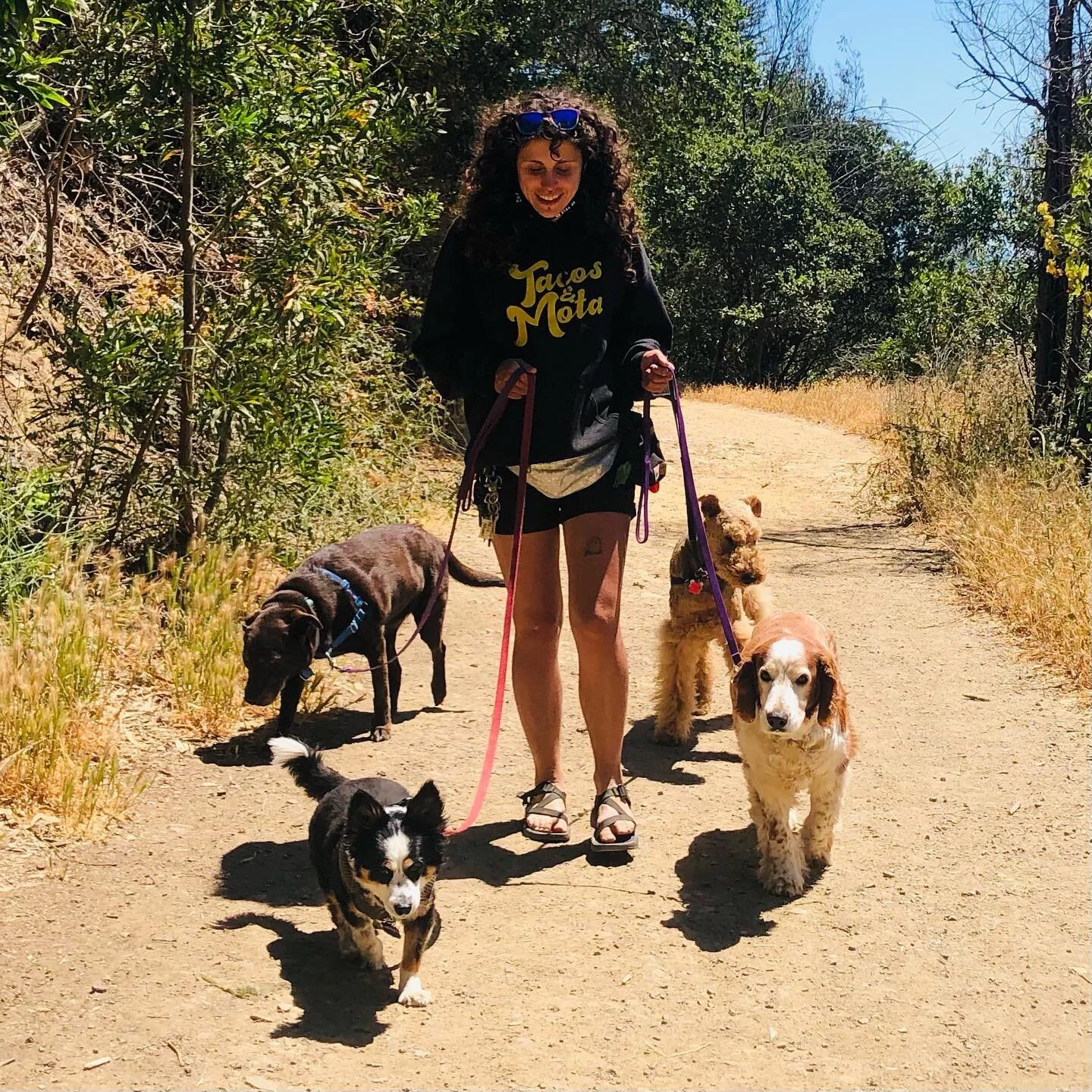 Doggy Lama Pet Care