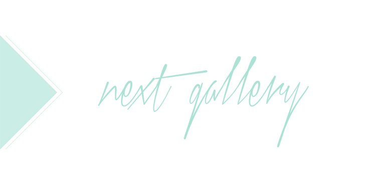 Engagement — Let There Be Light Photography | Calgary Wedding Photographer