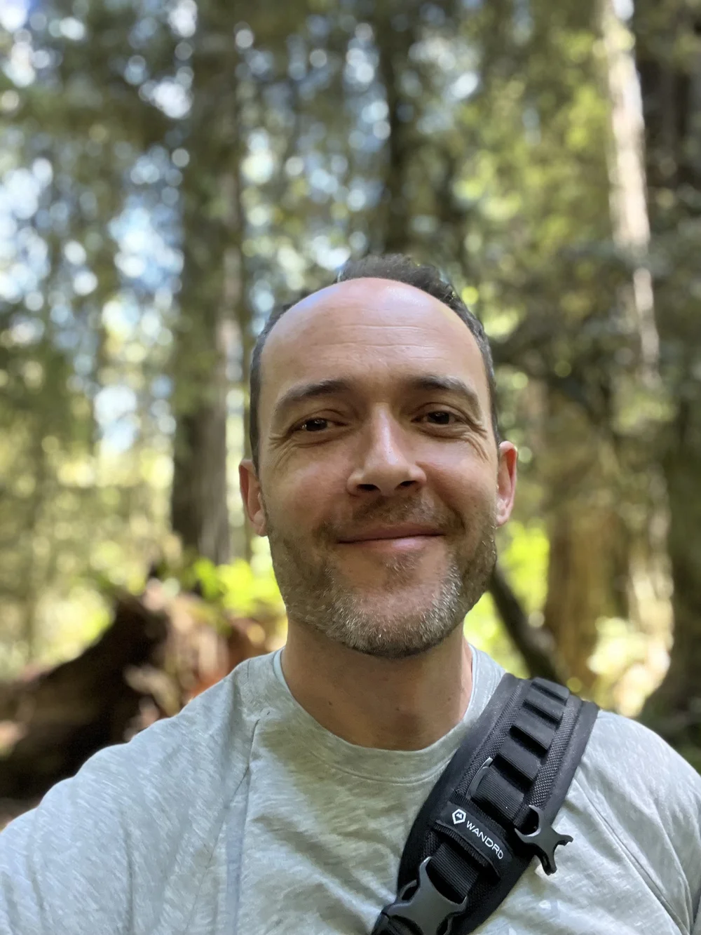 BOARD of DIRECTORS — Carpe Mundi