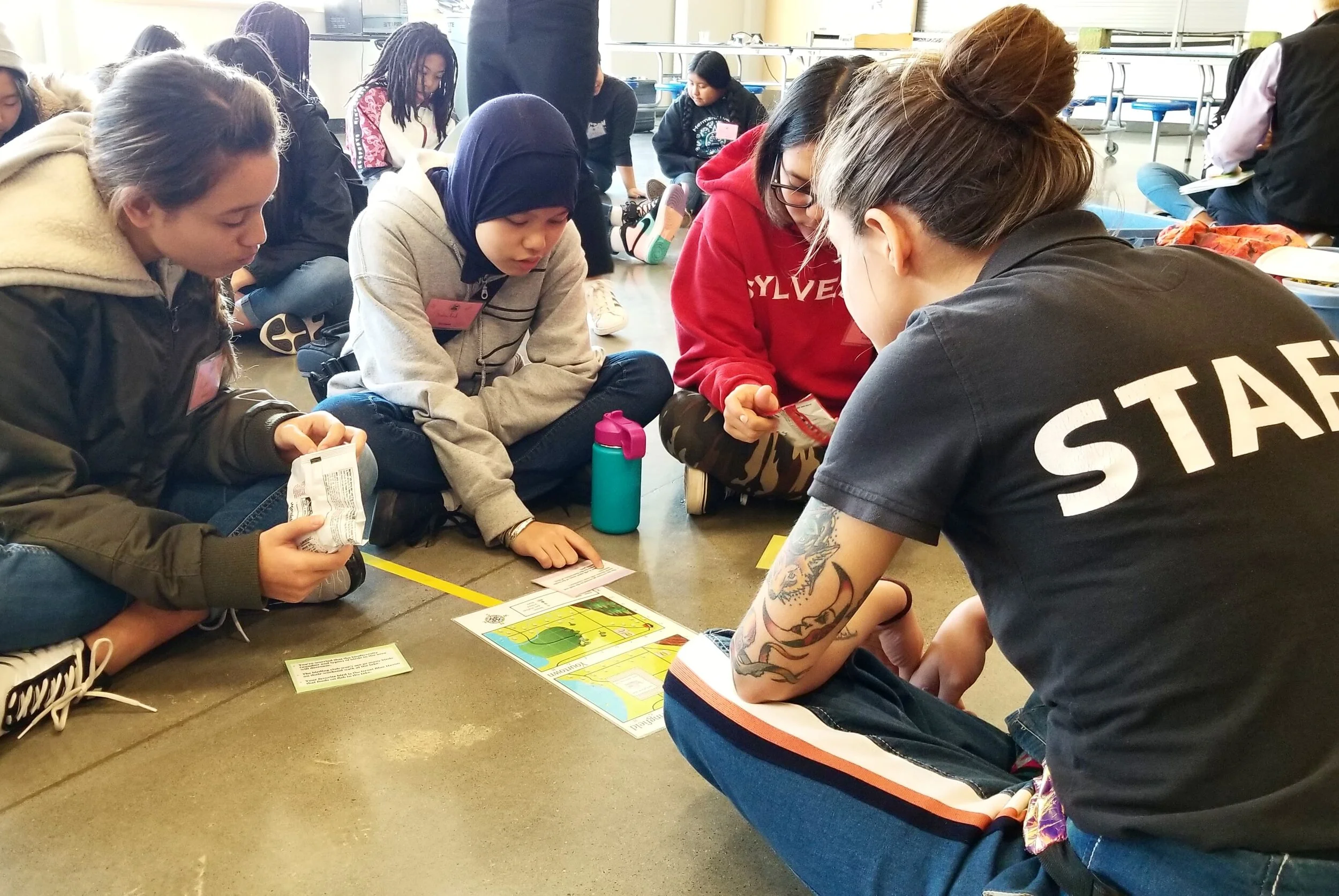 STEM Paths Innovation Network