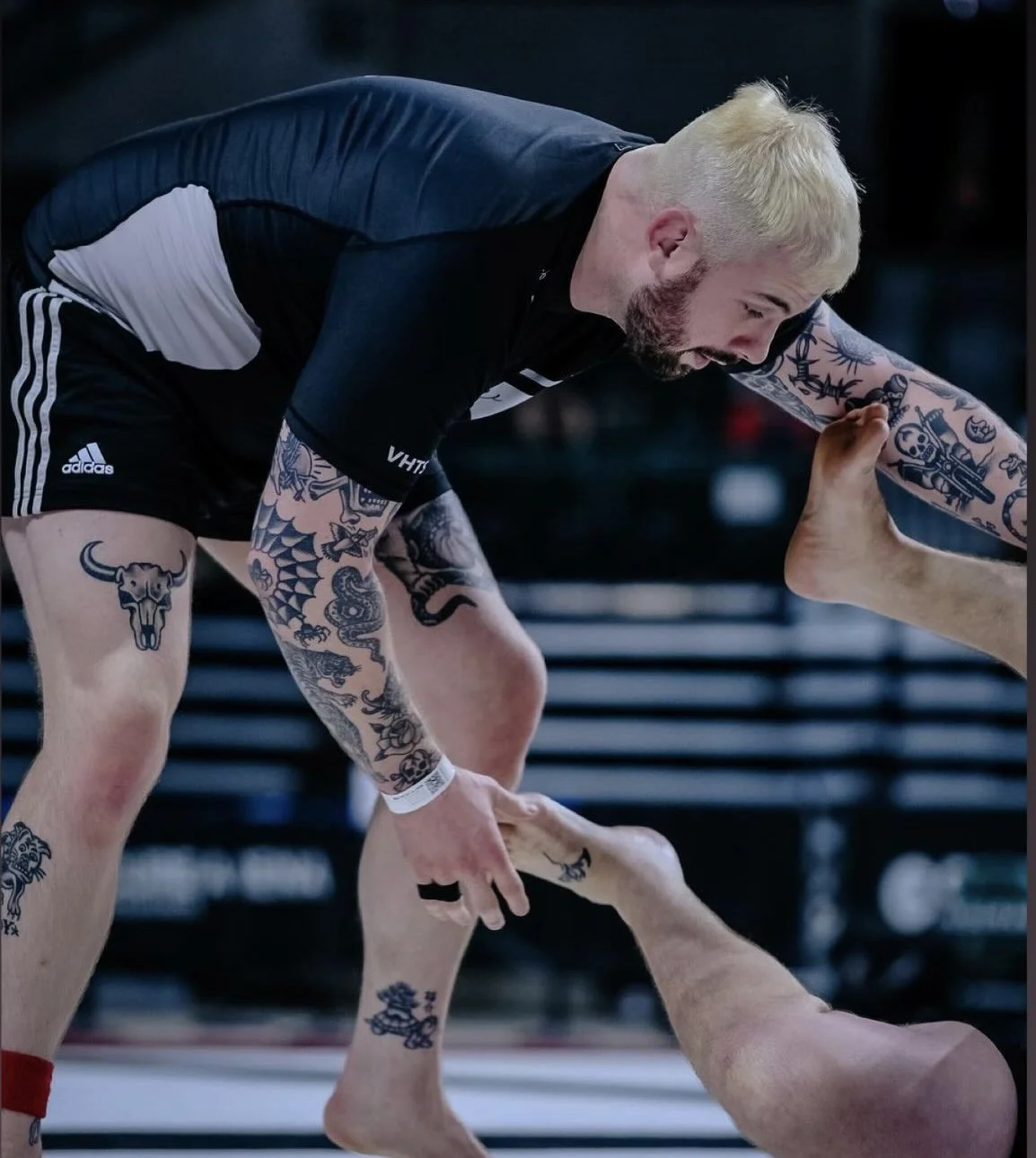 Mixed Martial Arts Training - Muay Thai, Boxing, BJJ, Wrestling | Elite Fitness Academy