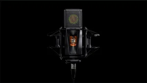 Lewitt PURE TUBE Microphone Released | Production Expert