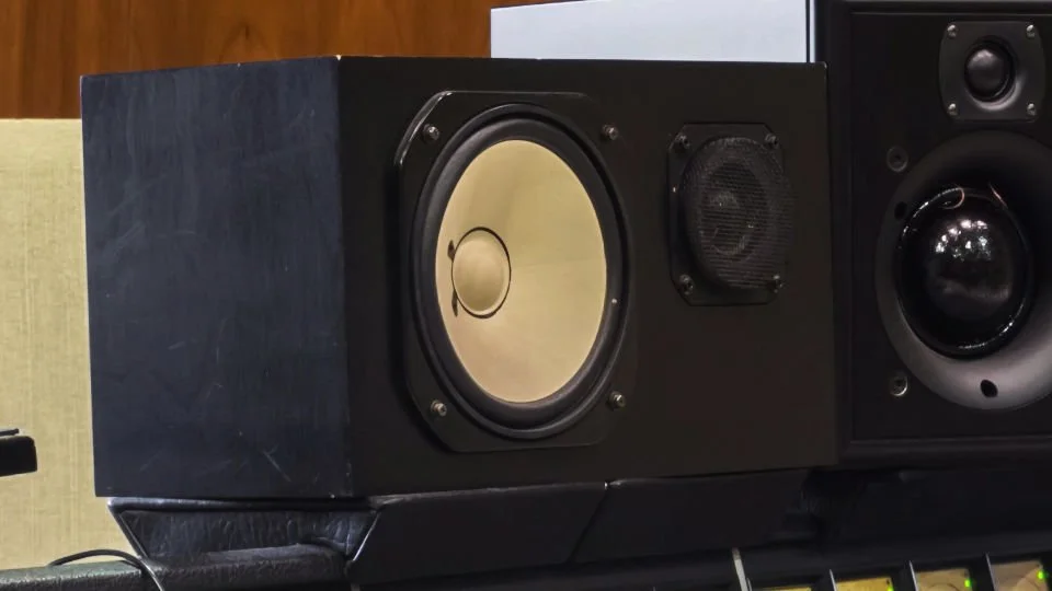 Most People Don't Know This About Mono Compatibility | Production Expert