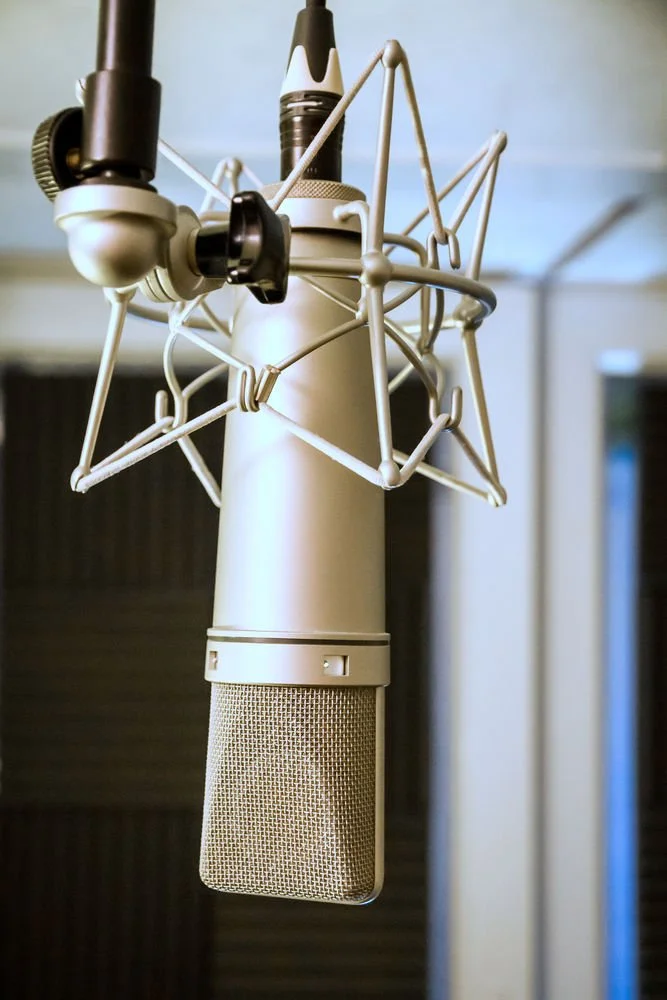 6 Essential Mic Types To Have In Your Studio | Production Expert