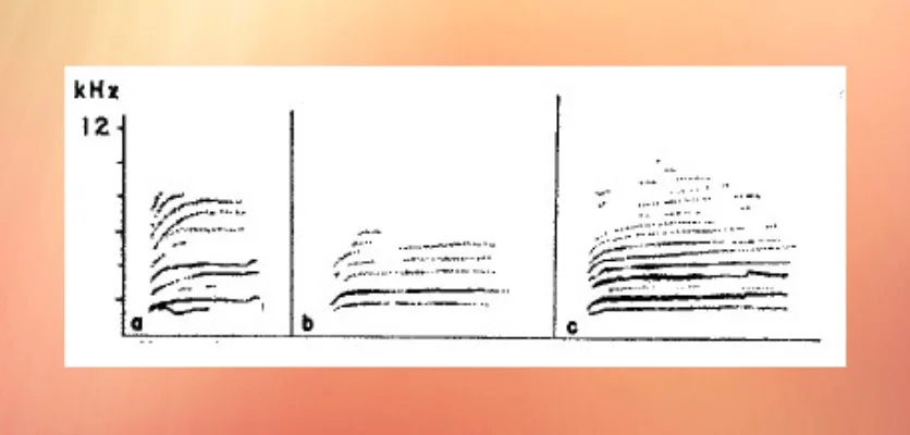 Exploring Spectral Audio Editing Tools And Techniques | Production Expert