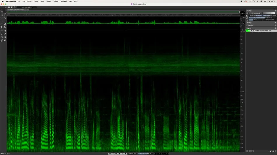Exploring Spectral Audio Editing Tools And Techniques | Production Expert