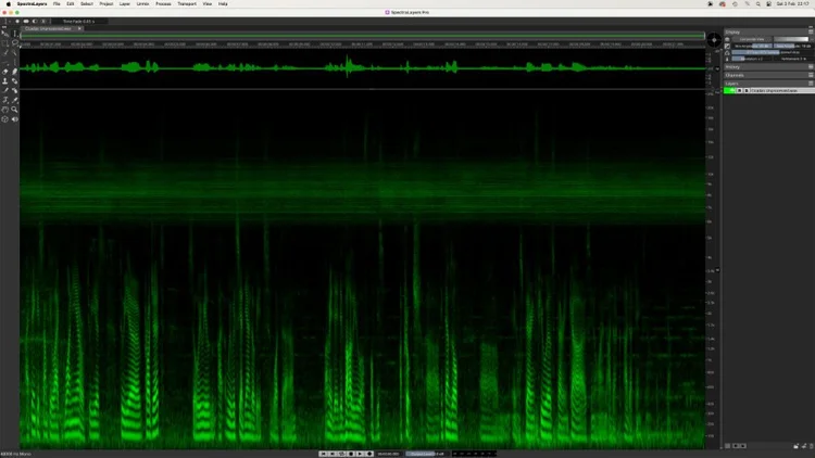 Exploring Spectral Audio Editing Tools And Techniques | Production Expert