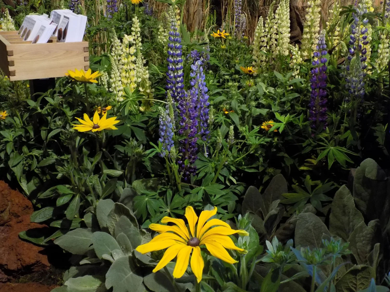 Highlights from the 2016 Philadelphia Flower Show — FLORA BOH