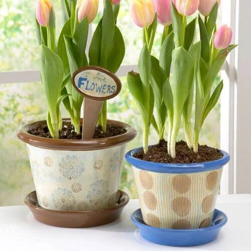 Shop Paint-At-Home Pottery Selections — The Pottery Piazza