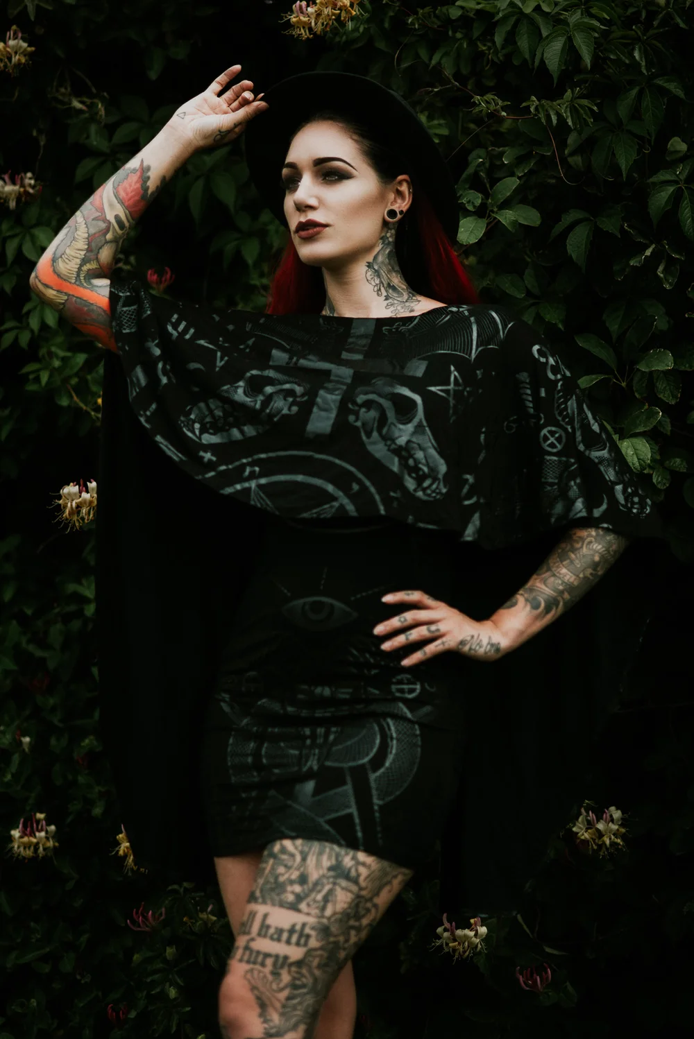 Cervena Fox Wallpaper